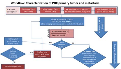 Pdmr 292921 168 R The Cancer Imaging Archive Tcia