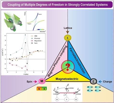 Research Duo Wangs Group
