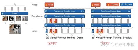 论文尝鲜 GLoRA 泛化LoRA搞peft 知乎