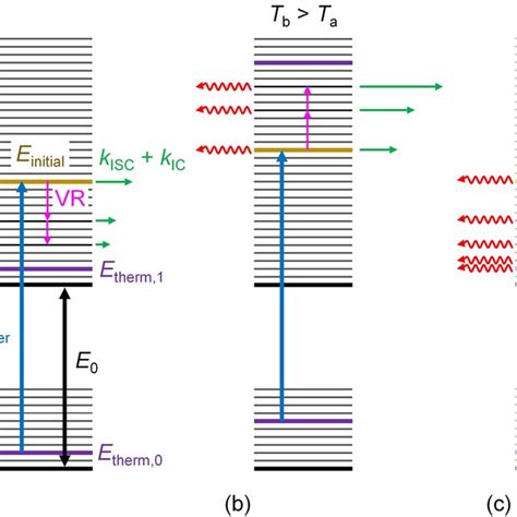 Optical Setup For Simultaneous Measurement Of Fluorescence Spectra And