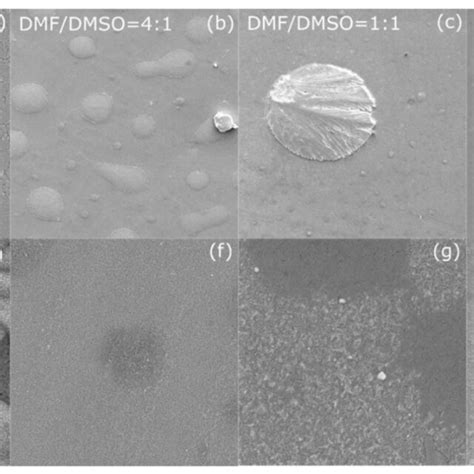 Scanning Electron Micrographs Taken At Low A D And High E H
