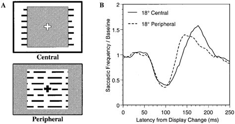 Results Of Experiment 2 A Areas Of The Display That Flickered Turned Download Scientific