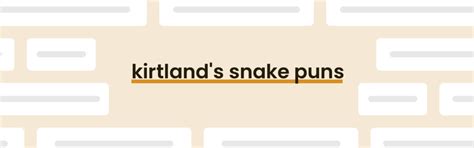 Spider Ball Python Puns Best Spider Ball Python Puns For 2024 Punpress