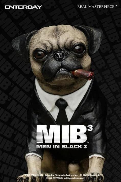 Pin By Chris Cromer On Musictv Movies Frank The Pug Cute Pugs Pugs