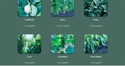 Github Garden Grow Turing Garden Grow Fe