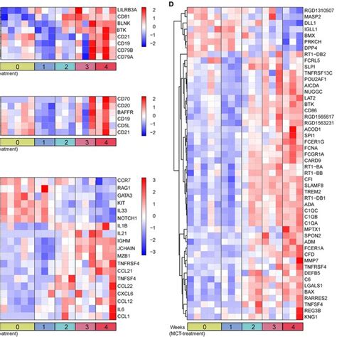 Identification Of Key Modules A Heatmap Plot Of Module Eigengene Download Scientific