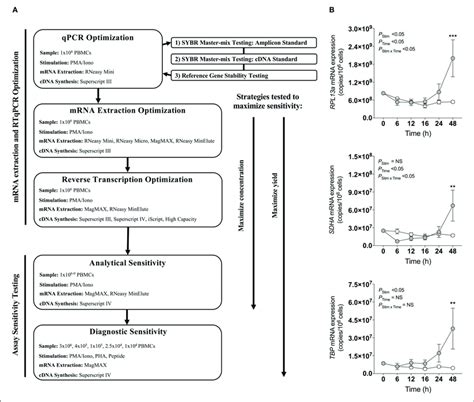Qpcr Optimization A Experimental Workflow For Qpcr Optimization Download Scientific