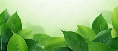 Nature Themed Design Featuring A Green Leaf Backdrop With A Rounded