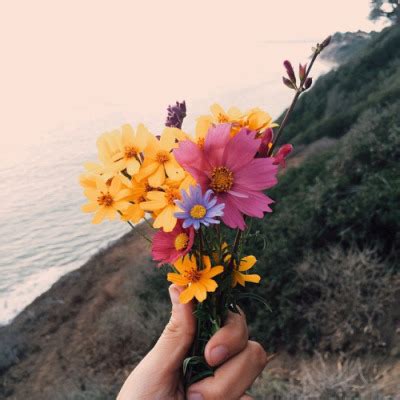 Post Mau Aloha Tumblr Com Tumbex