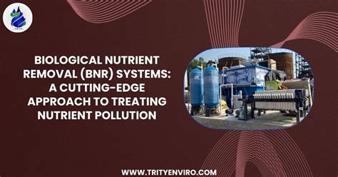 Biological Nutrient Removal Systems For Sustainable Treatment