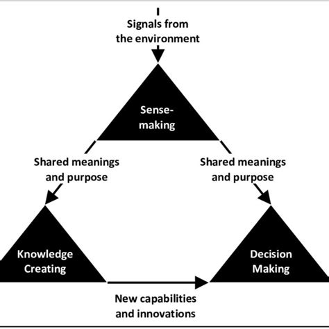 Conceptual Ddo Framework Download Scientific Diagram