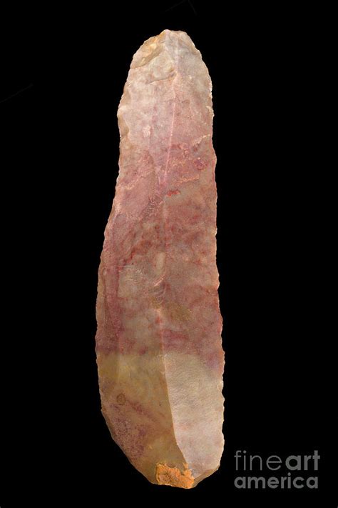 Neolithic Period Stone Knife Photograph By Pascal Goetgheluck Science Photo Library Fine Art