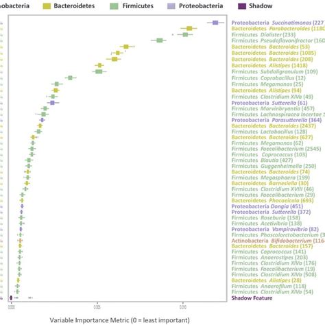 Extended Conditional Inference Forest Variable Importance Matrix Otus