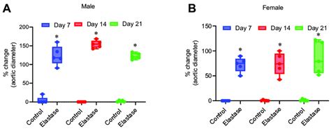 a b elastase treated wild type wt mice demonstrated a significant