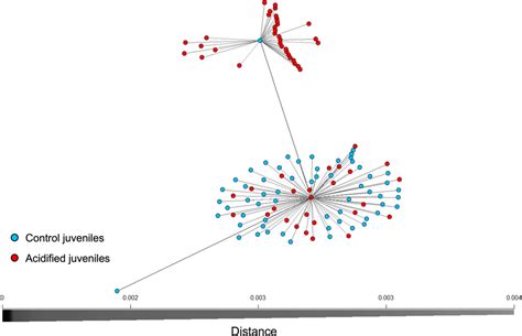 Clustering Based On The Frequency Of Filtered Snps At The Juvenile