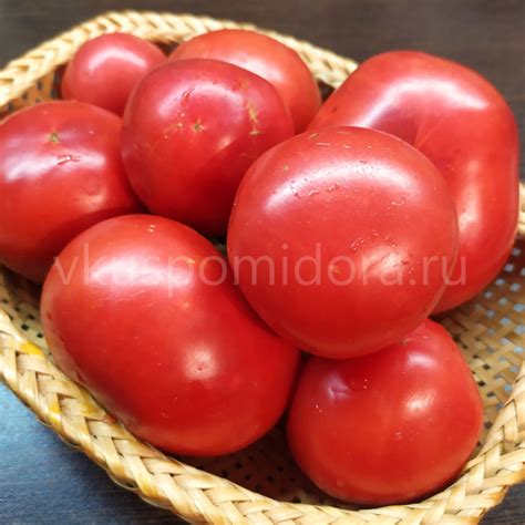 Купить семена томата сорт Роза Берна (Rose de Berne)