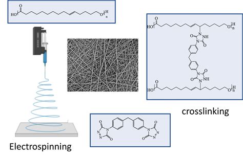 Polymers Free Full Text Crosslinking Of Electrospun Fibres From Unsaturated Polyesters By