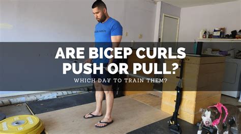 Are Bicep Curls Push Or Pull Lift Big Eat Big