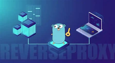 utilizing go proxy a practical guide for seamless integration mangaxyz