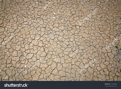 Separate Soil Stock Photo Shutterstock