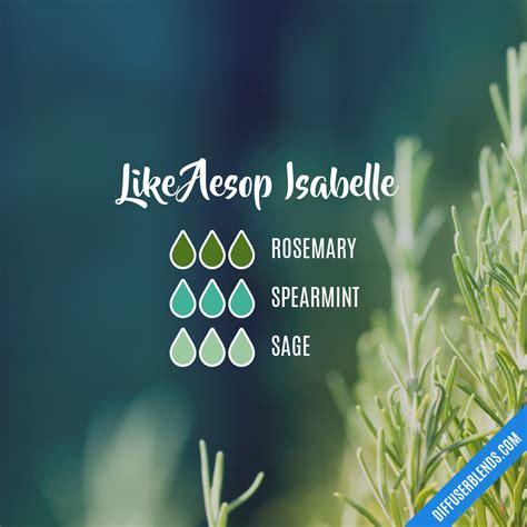 Aesop Essential Oil Diffuser At Margaret Meldrum Blog