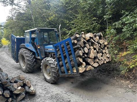 МВР Лишени од слобода деветмина дрвокрадци поднесена кривична пријава Либертас