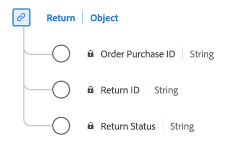 Return Data Type Adobe Experience Platform