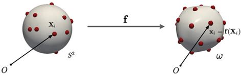 A Lagrangian Thin Shell Finite Element Method For Interacting Particles