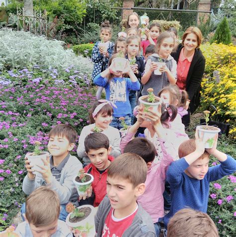 191 ე საჯარო სკოლა მე 4 დ კლასი