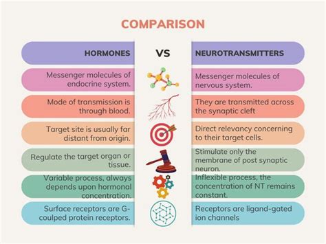 Hormones Vs Neurotransmitters Battle Of The Signals R Anatomyandphysiology