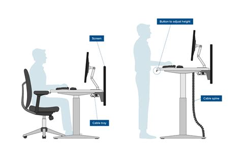 What Are Examples Of Ergonomic Equipment At Dakota Ewan Blog