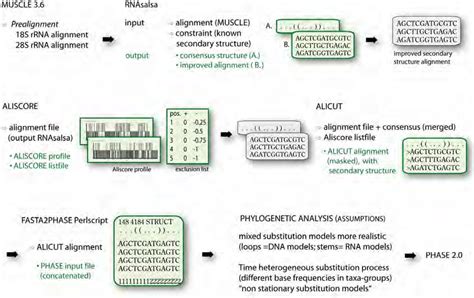7 Design Of Analysis B Input Files Of Analyses Are Green Output