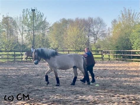 D6768 E88 701 C 41 E6 9 F50 8 Dce011671 A6 Hosted At Imgbb — Imgbb