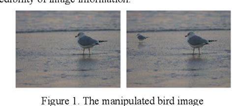 Figure 1 From Image Tampering Detection Method Based On Multi Feature