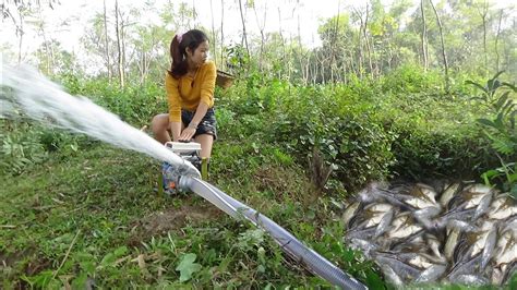 Hunting wild fish | Using a pump, pumping water outside the natural ...
