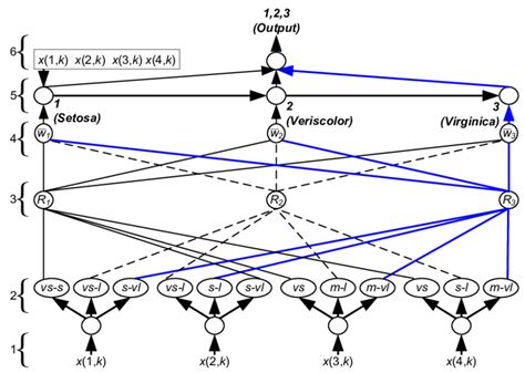 recognized fuzzy reasoning model of the iris dataset all inputs are