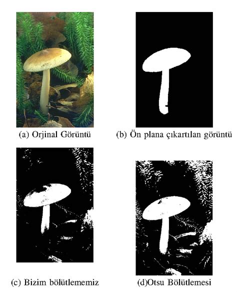 Figure 2 From Image Histogram Thresholding Using Gaussian Kernel