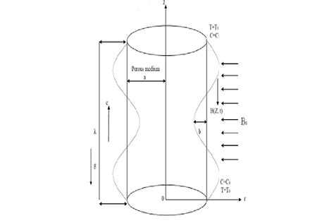 physical model and coordinates system download scientific diagram