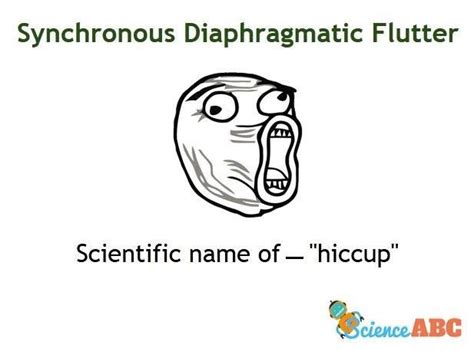 Synchronous Diaphragmatic Flutter Interesting Science Facts Science
