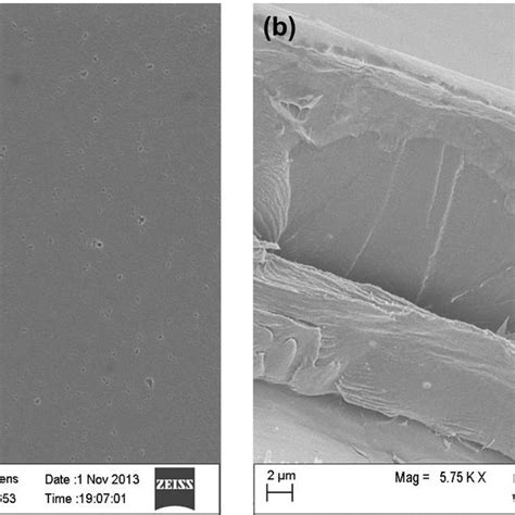 Illustrates The Fabrication Procedures Of A Polymeric Microlens Array