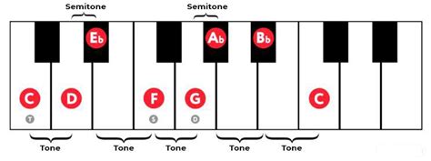 Cosè Una Scala Cromatica In Musica