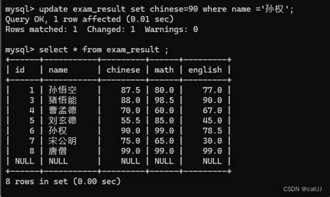 Mysql 的基础知识和sql 语句教你速成上——逻辑清晰涵盖完整文档数据库和键值对数据库 Csdn博客