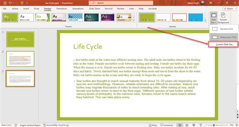 How To Change The Size Of A PowerPoint Slide