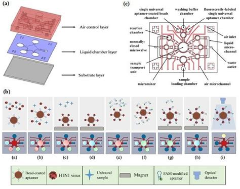Integrated Microfluidic Chip System Using A Sandwich Aptamer A The