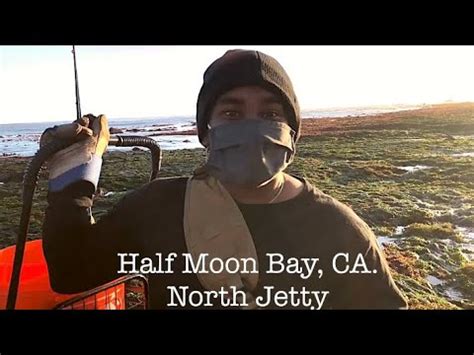 First Videohalf Moon Bay Mussels Foraging 17 Tide Youtube