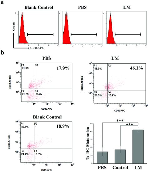 Dc Maturation A Identification Of Dcs By Cd11c Using Fcm B Dc