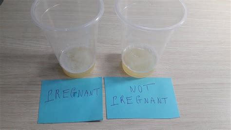 Diy Pregnancy Test Artofit