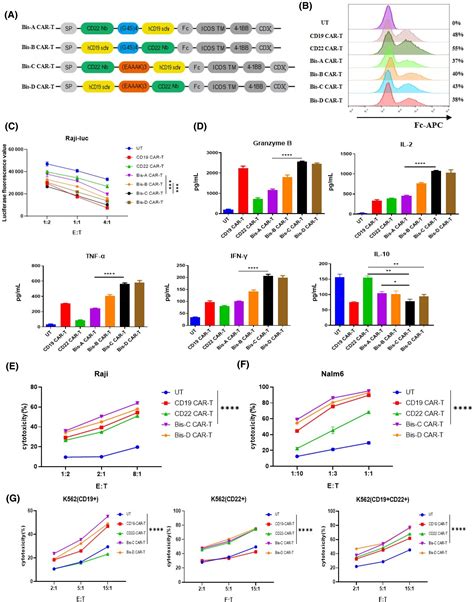 Enhanced Efficacy Of Cd19cd22 Bispecific Car‐t Cells With Eaaak Linker