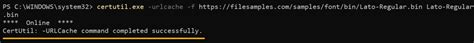 A Guide To Using Certutil For Certificate Management