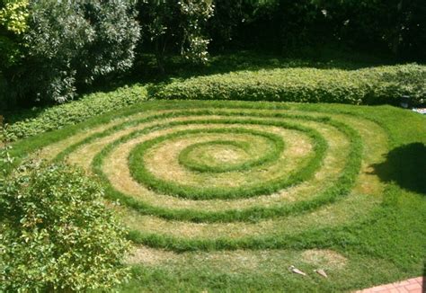 Aesthetic Spiral And Grass Image 7946141 On